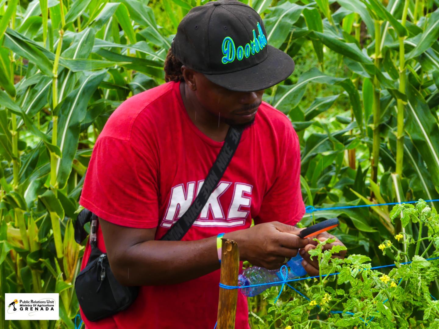 Climate smart Agriculture and Rural Enterprise Programme (SAEP ...